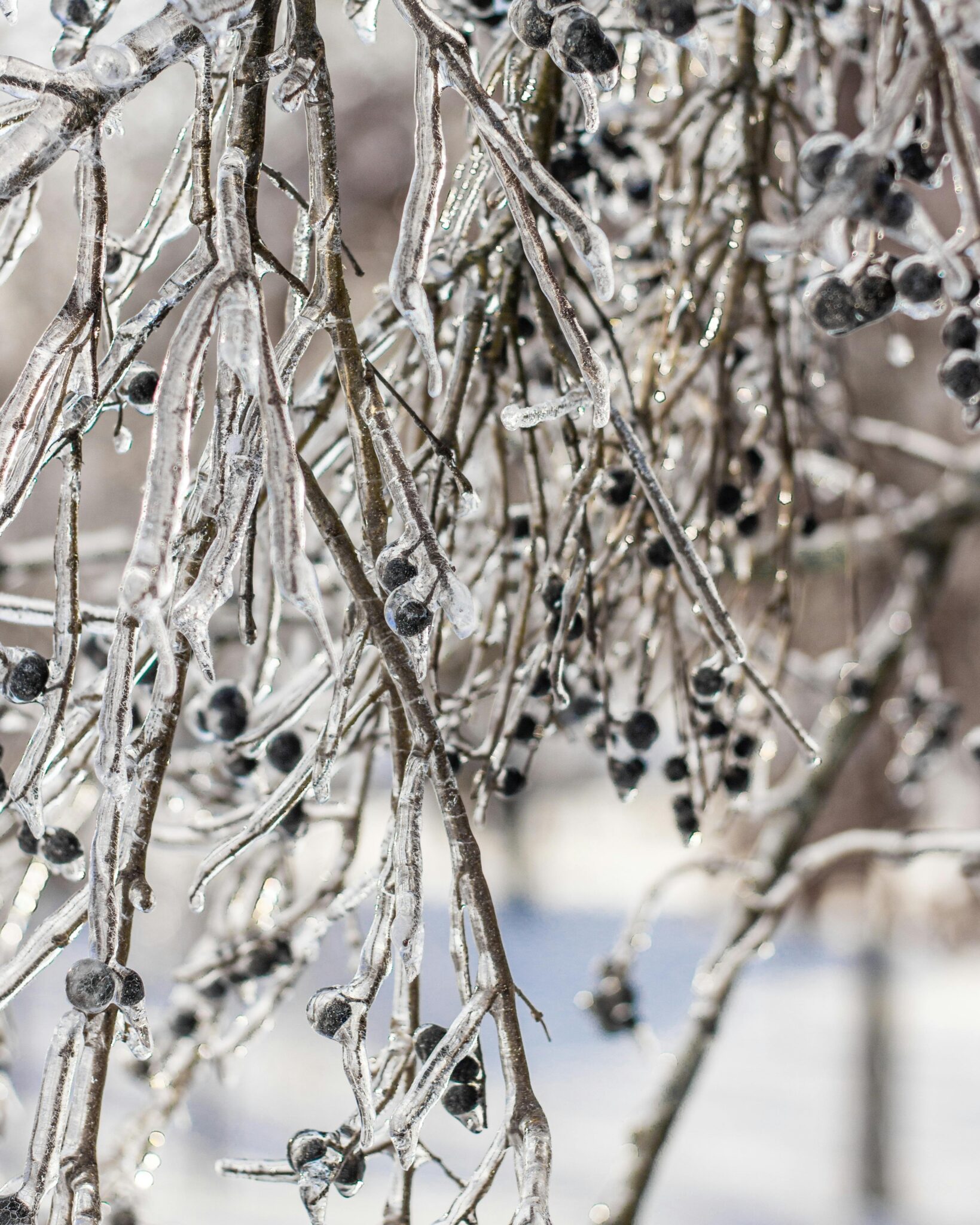 Labb Homes Homeowners: Get Ready for Winter Weather