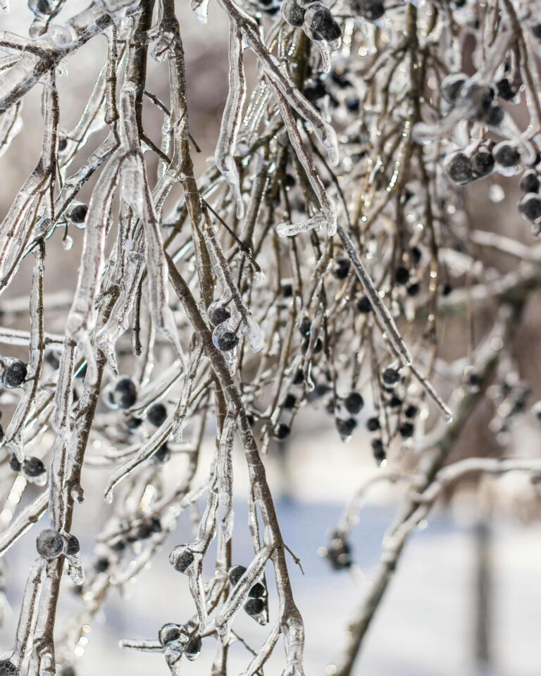 Labb Homes Homeowners: Get Ready for Winter Weather