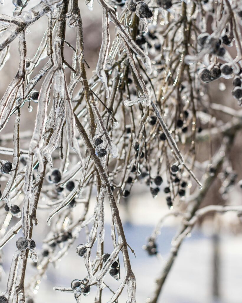 Labb Homes Homeowners: Get Ready for Winter Weather